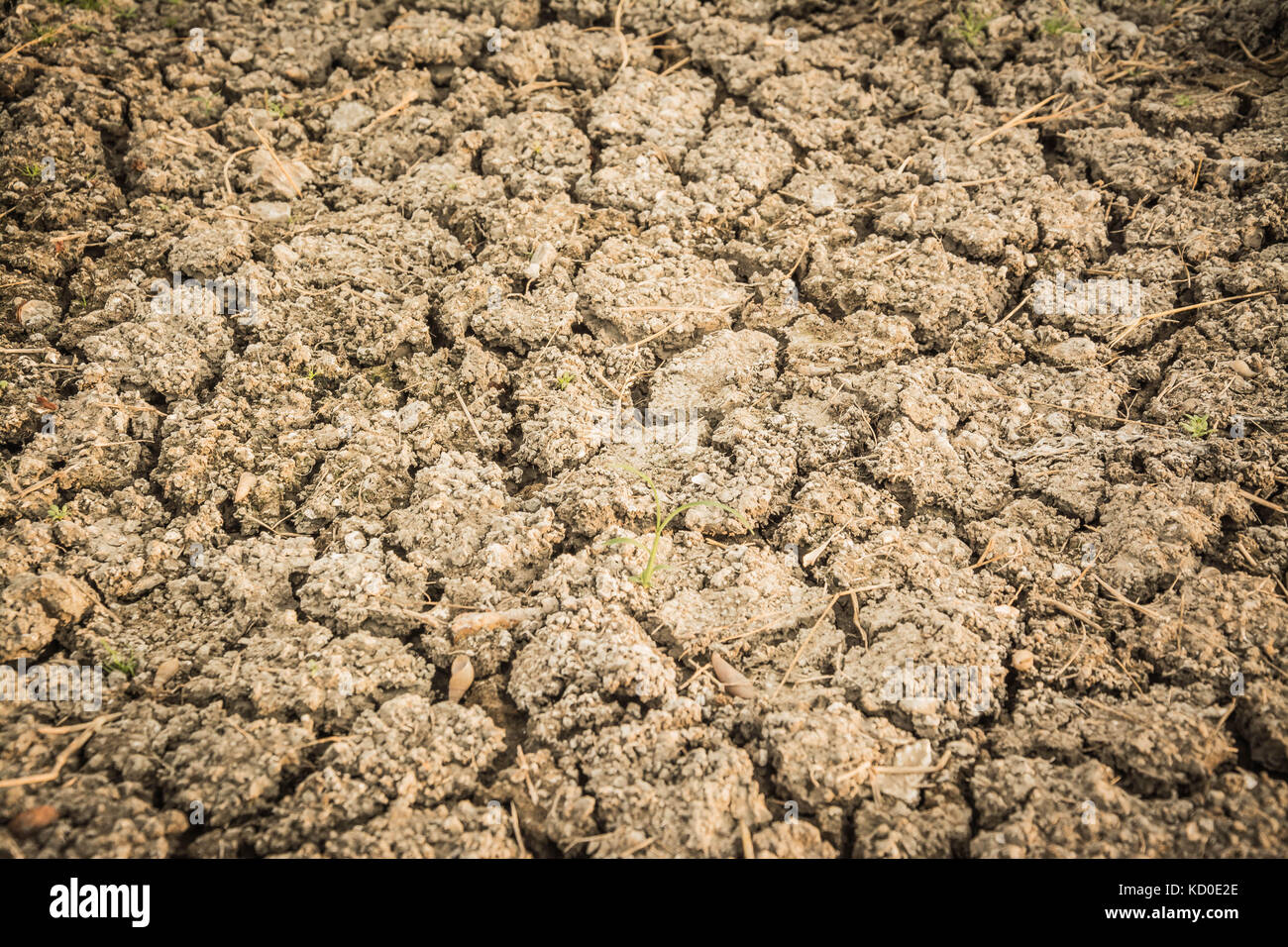 Le sol, sol fissuré dans la sécheresse, la texture du sol Photo Stock ...
