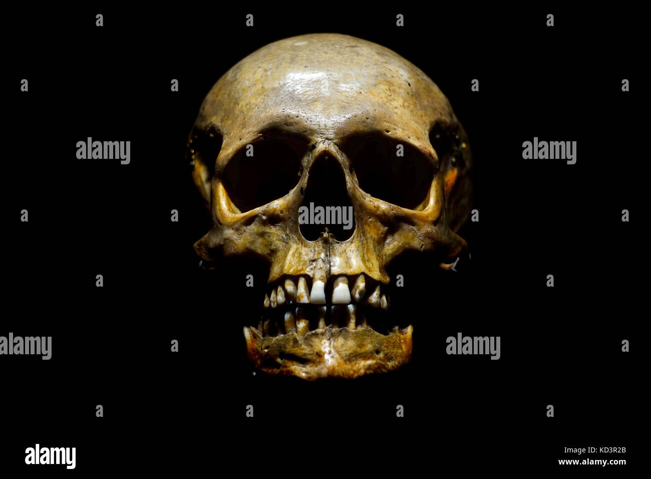 Vrai humain Banque de photographies et d’images à haute résolution - Alamy