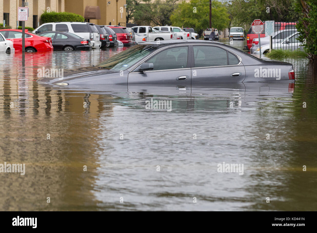 Submergé par l'ouragan Harvey voitures à Houston, Texas, USA. Les ...