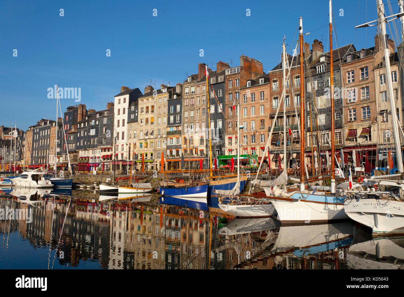 Cote de grace Banque de photographies et d’images à haute résolution ...