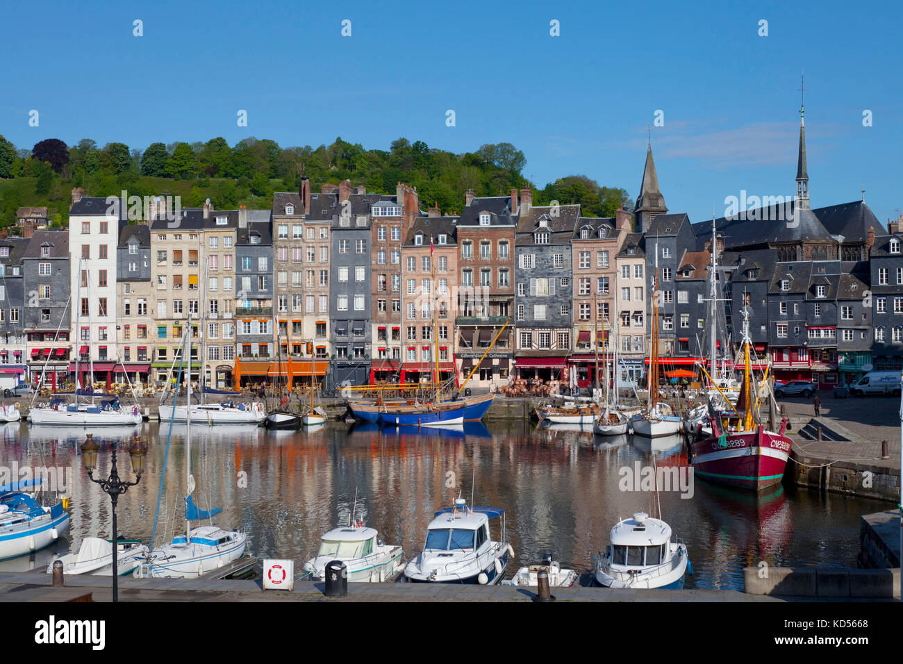 Cote de grace Banque de photographies et d’images à haute résolution ...