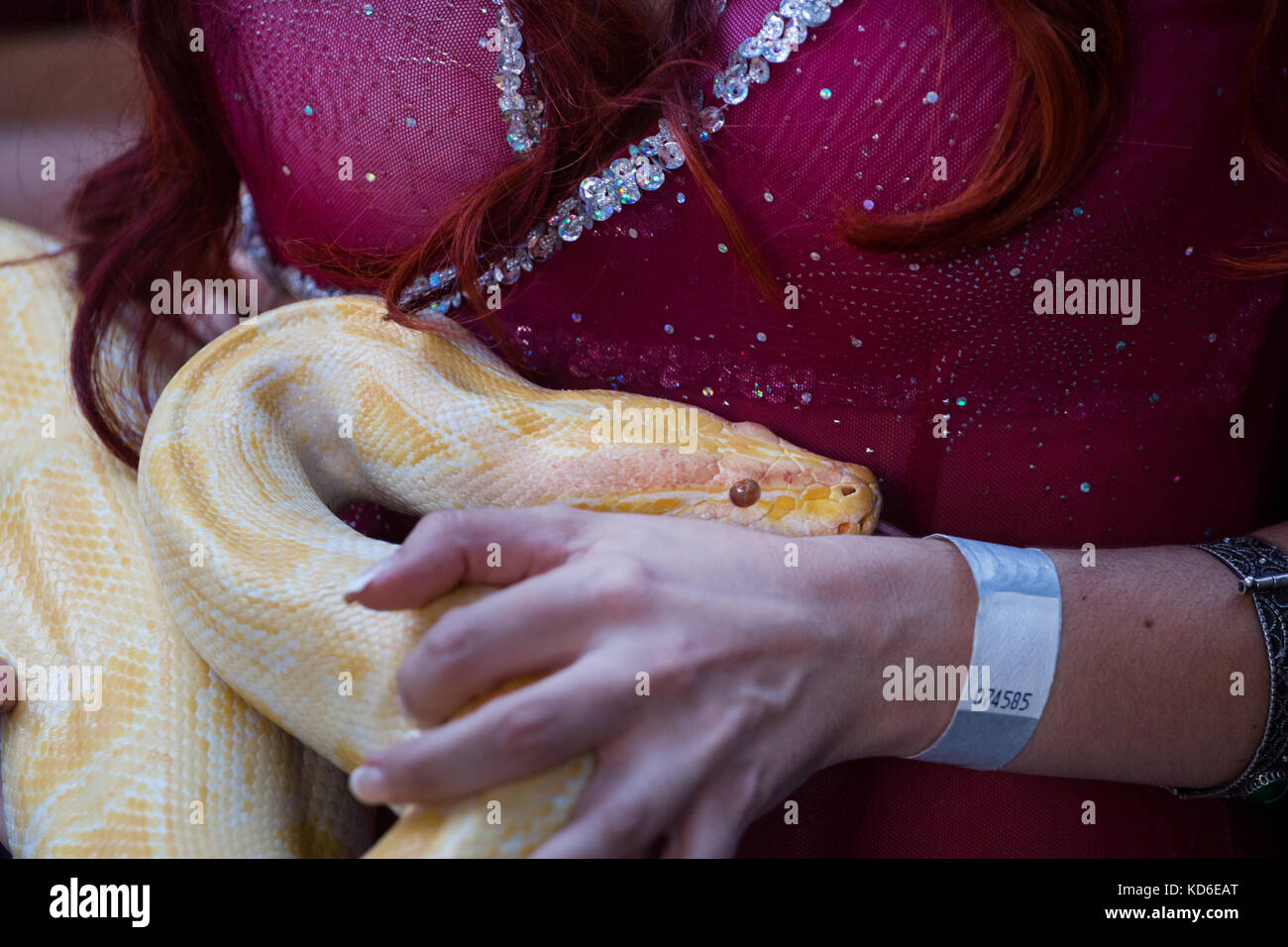 Woman holding albino snake Banque de photographies et d’images à haute ...