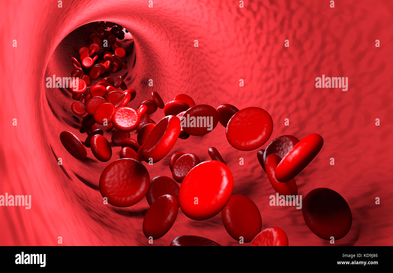 Globules rouges et plaquettes Banque de photographies et d’images à ...