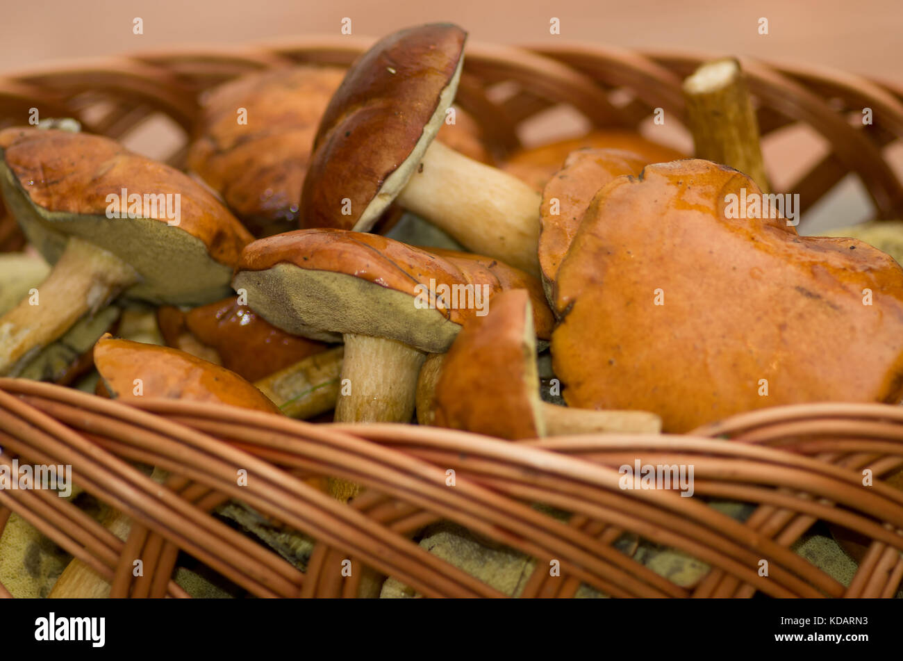 Panier de bolets Banque de photographies et d’images à haute résolution - Alamy
