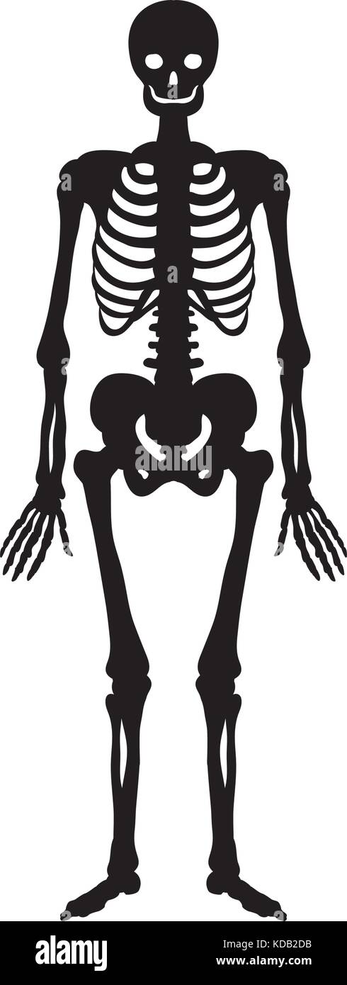 Silhouette squelette monster ancienne fantaisie. vector illustration ...