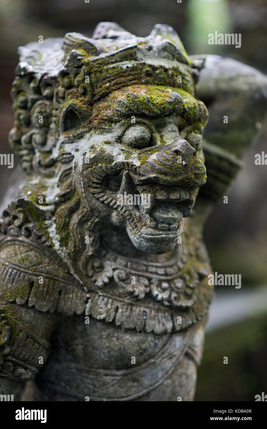 Sangeh singe forest bali Banque de photographies et d’images à haute ...