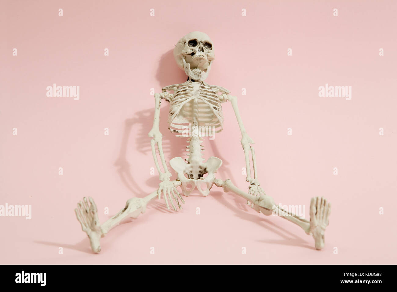 Squelette En Plastique Banque d'image et photos - Alamy