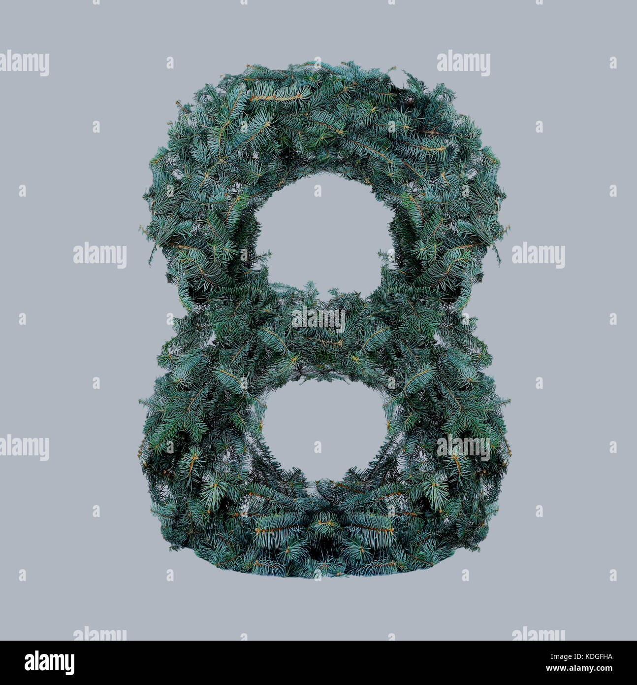 Les symboles du sapin Photo Stock - Alamy