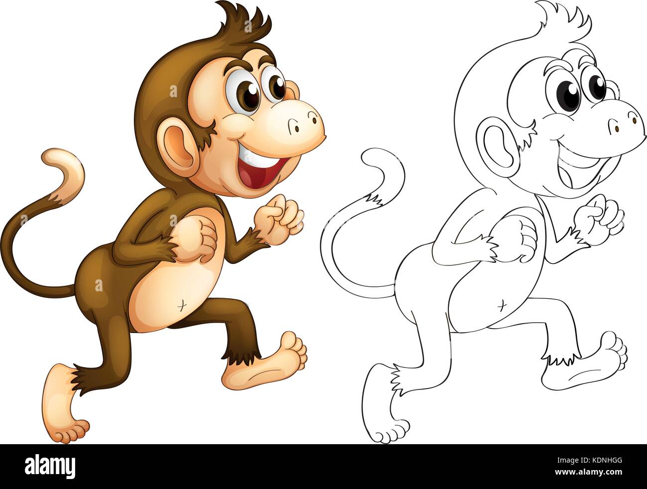 Schéma de la marche des animaux singe illustration Image Vectorielle ...