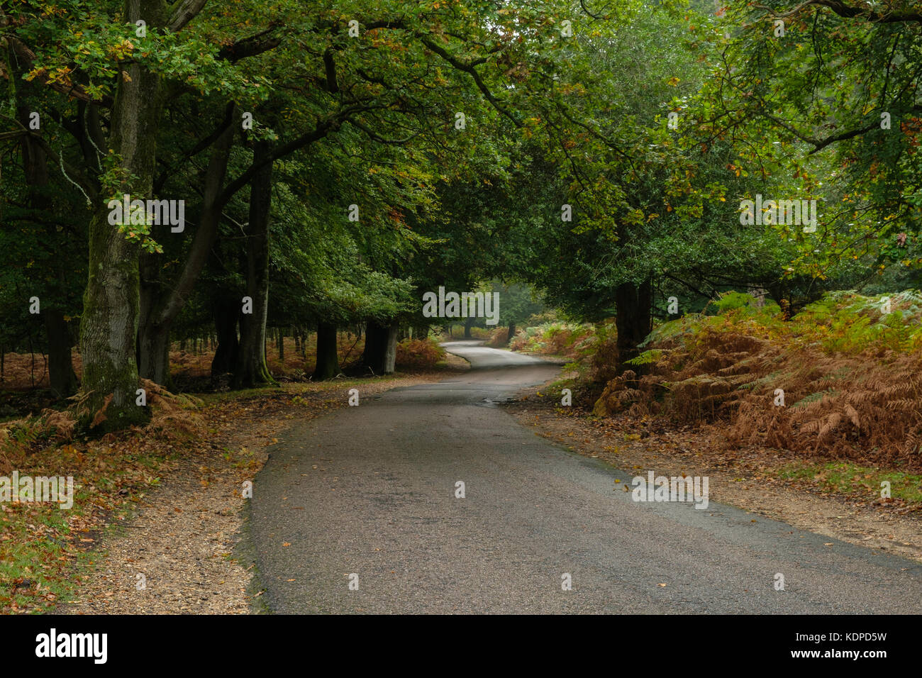Sur le point de traverser un espace étroit ou une ouverture Banque de ...