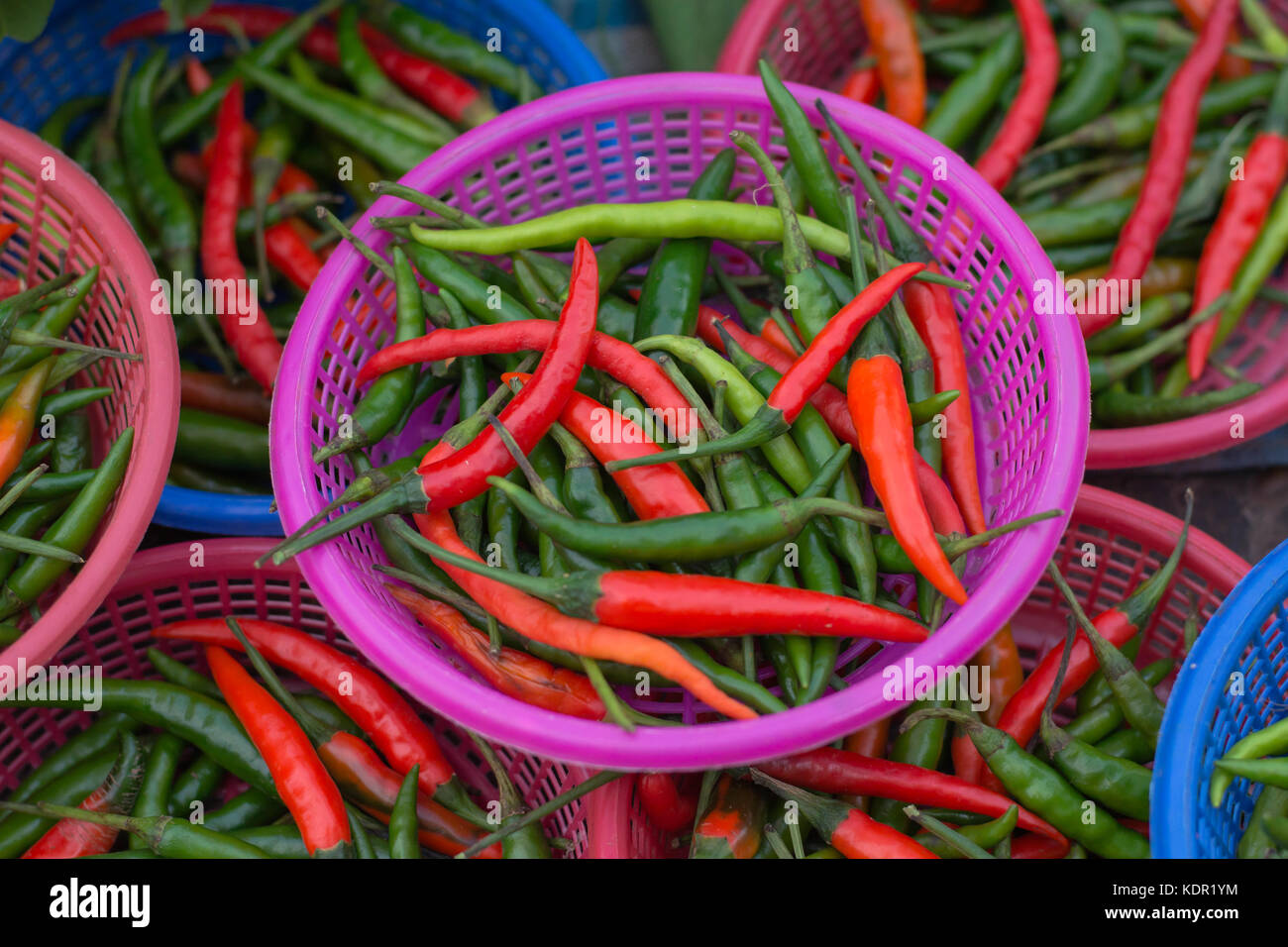 Hot chili paprika (padi, piment oiseau, piment, piment oiseau, poivre ...