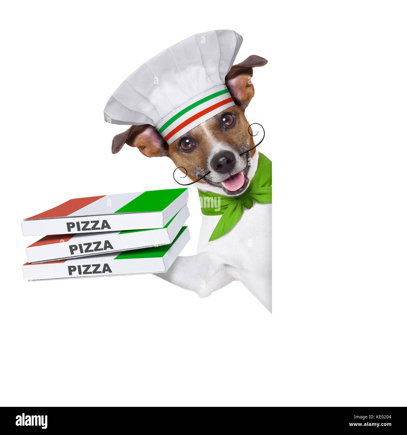 Livraison de pizza chien avec une pile de boîtes à pizza derrière une ...