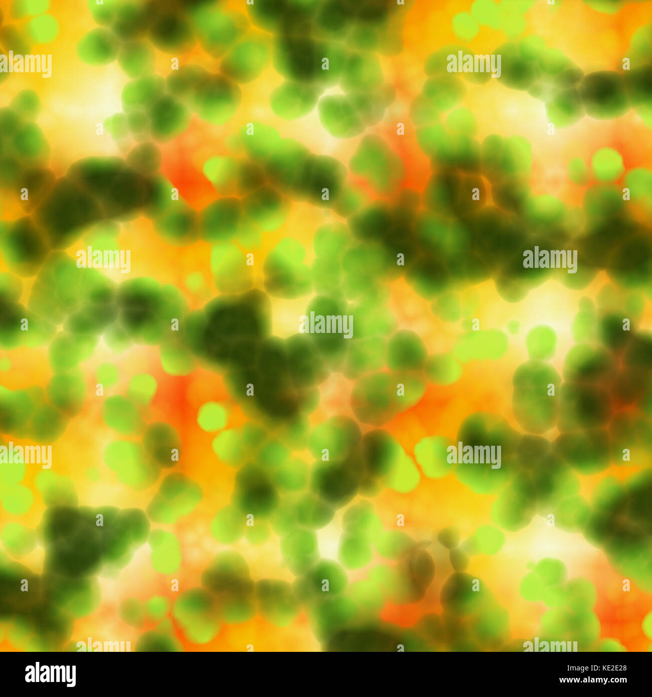 Cellule Bactérienne Banque d'image et photos - Alamy