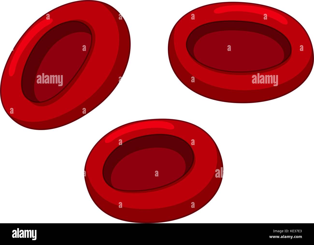 Red blood cells Banque d'images vectorielles - Alamy