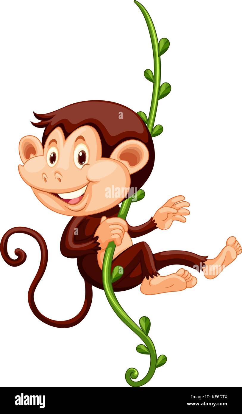 Vigne grimpante Banque d'images vectorielles - Alamy