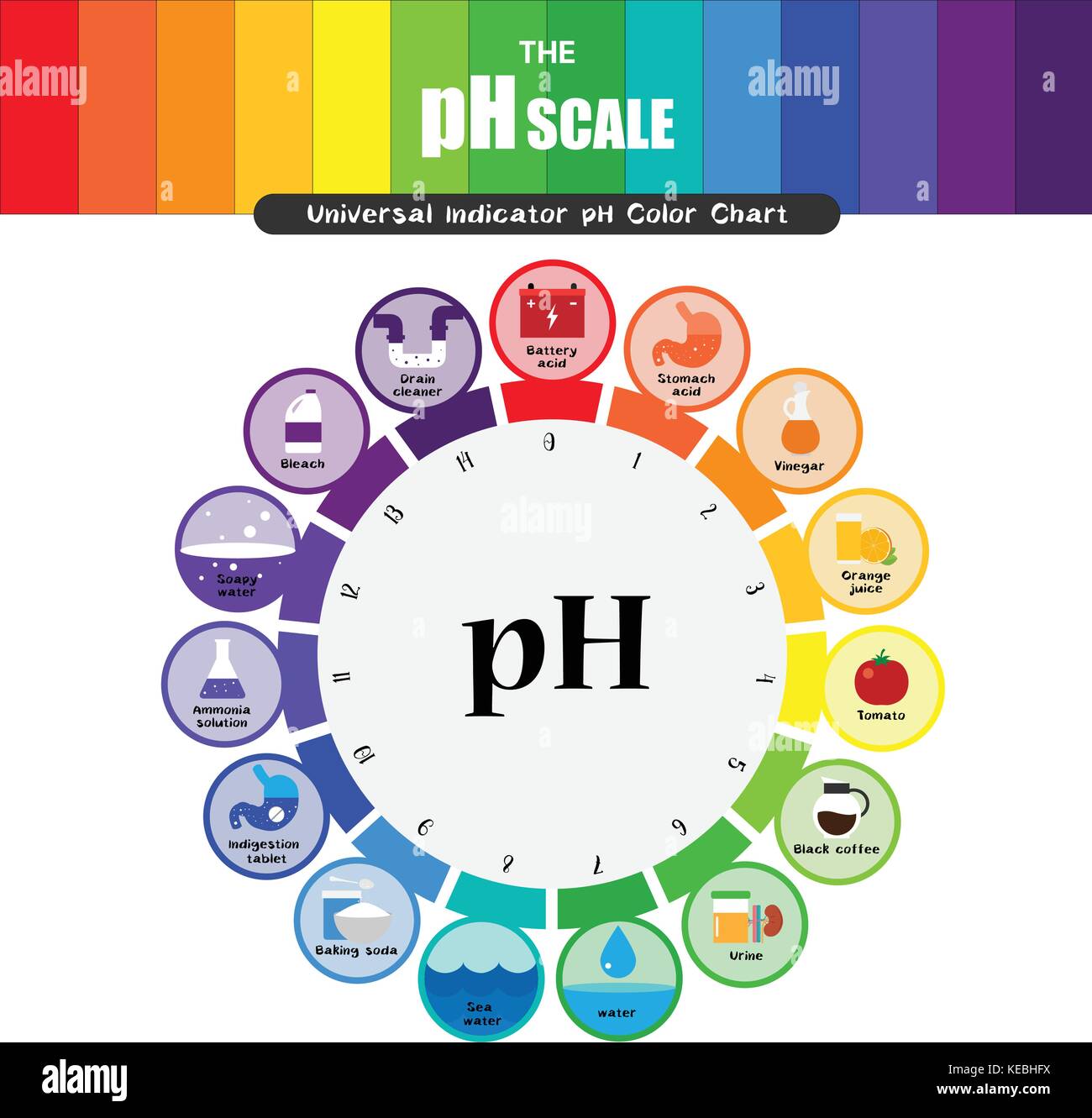 L chelle De Ph Indicateur Universel Diagramme Couleur Ph Alcalin Acide l-chelle-de-ph-indicateur-universel-diagramme-couleur-ph-alcalin-acide
