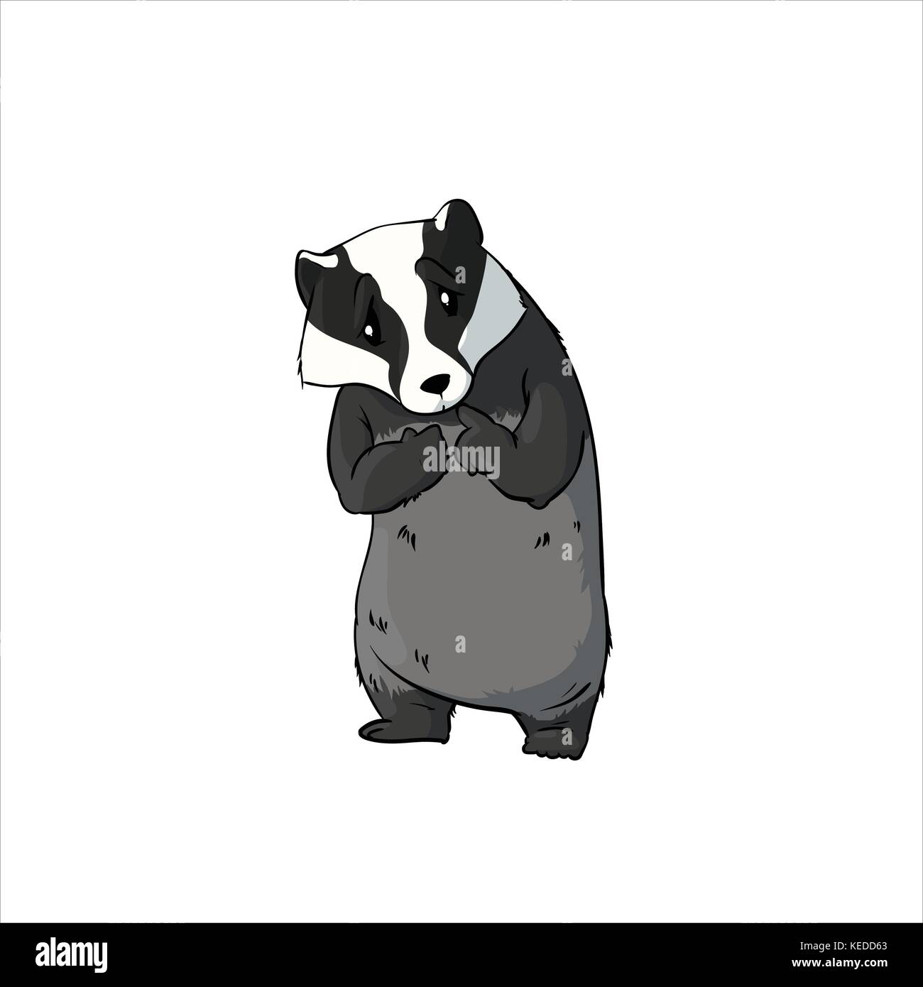 Colorful vector illustration d'un timide cartoon badger Image ...