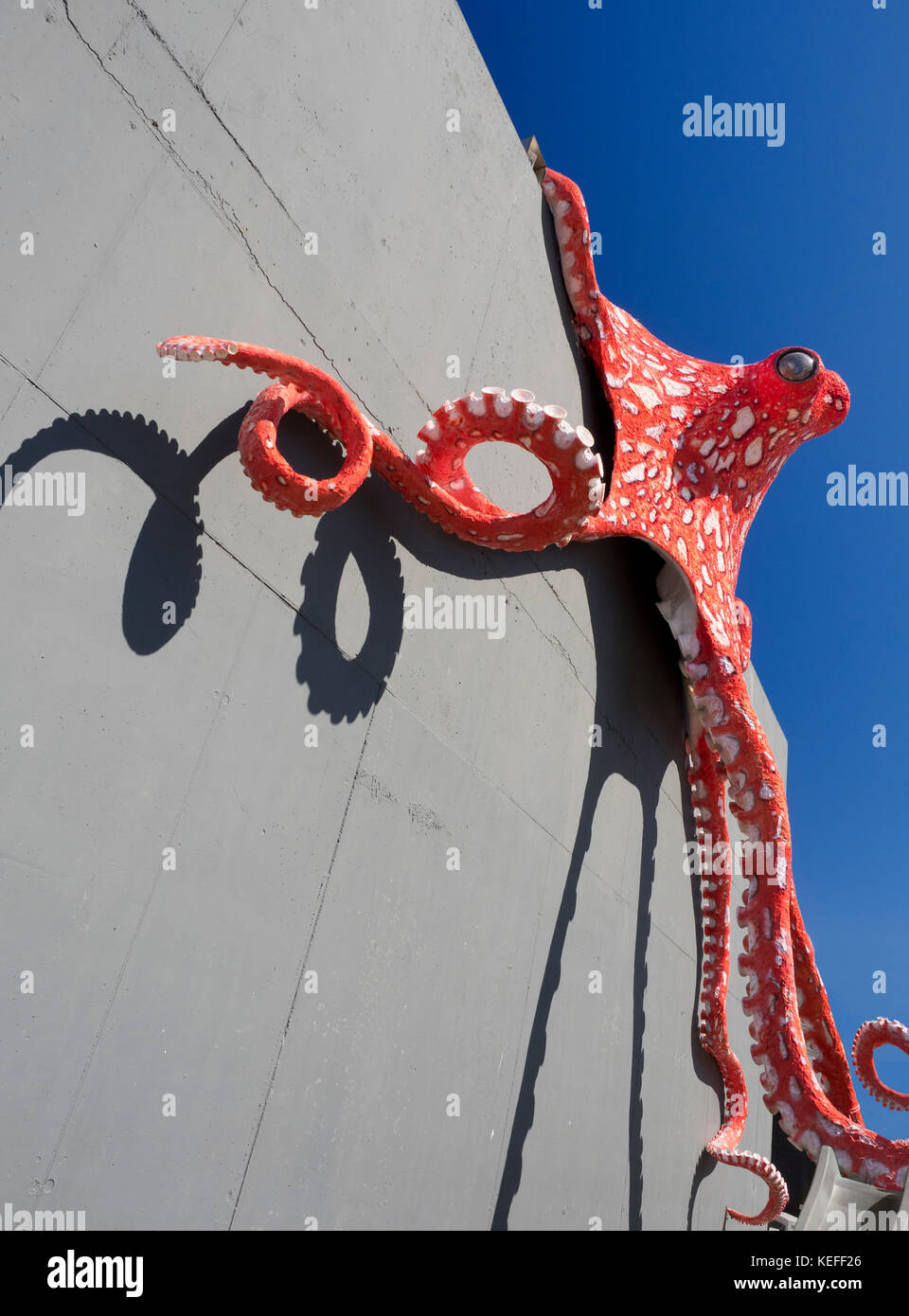 Mutant fish Banque de photographies et d’images à haute résolution - Alamy