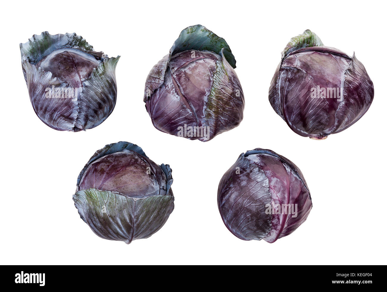 Feuille de chou rouge Banque de photographies et d’images à haute ...