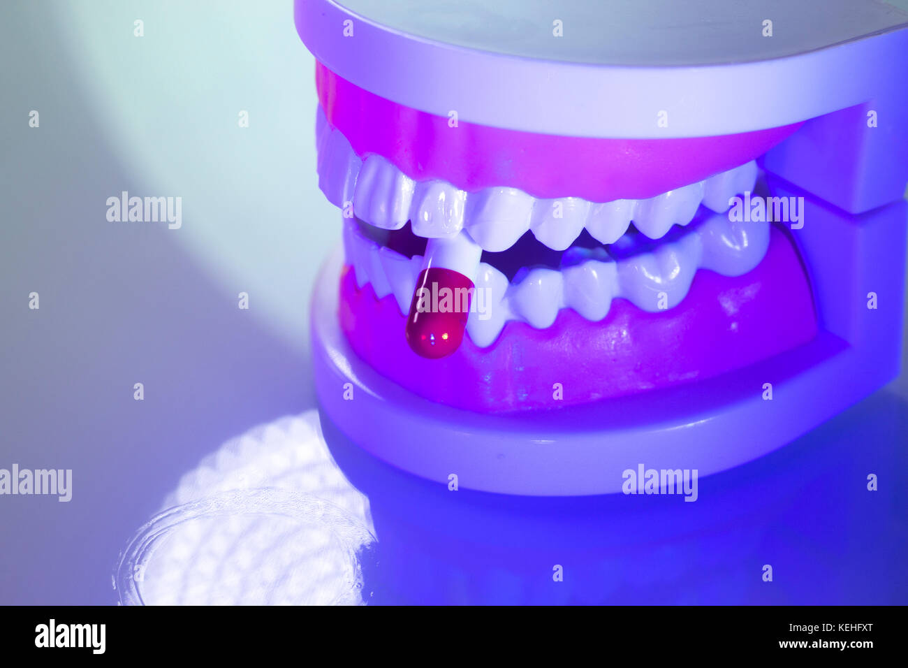 Les dents, de la bouche, des gencives dentistes modèles pédagogiques ...