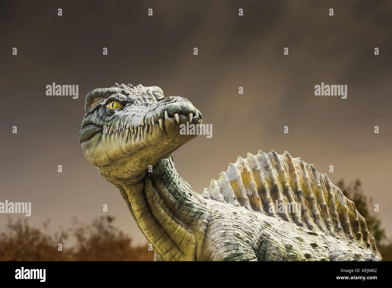 Dinosaure carnivore Banque de photographies et d’images à haute résolution - Alamy