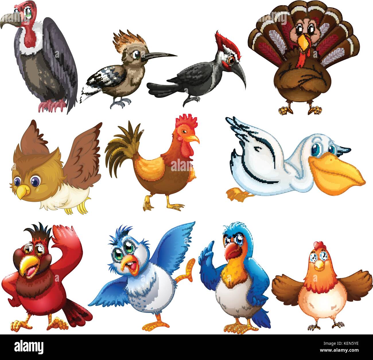 Illustration des différents types d'oiseaux Image Vectorielle Stock - Alamy