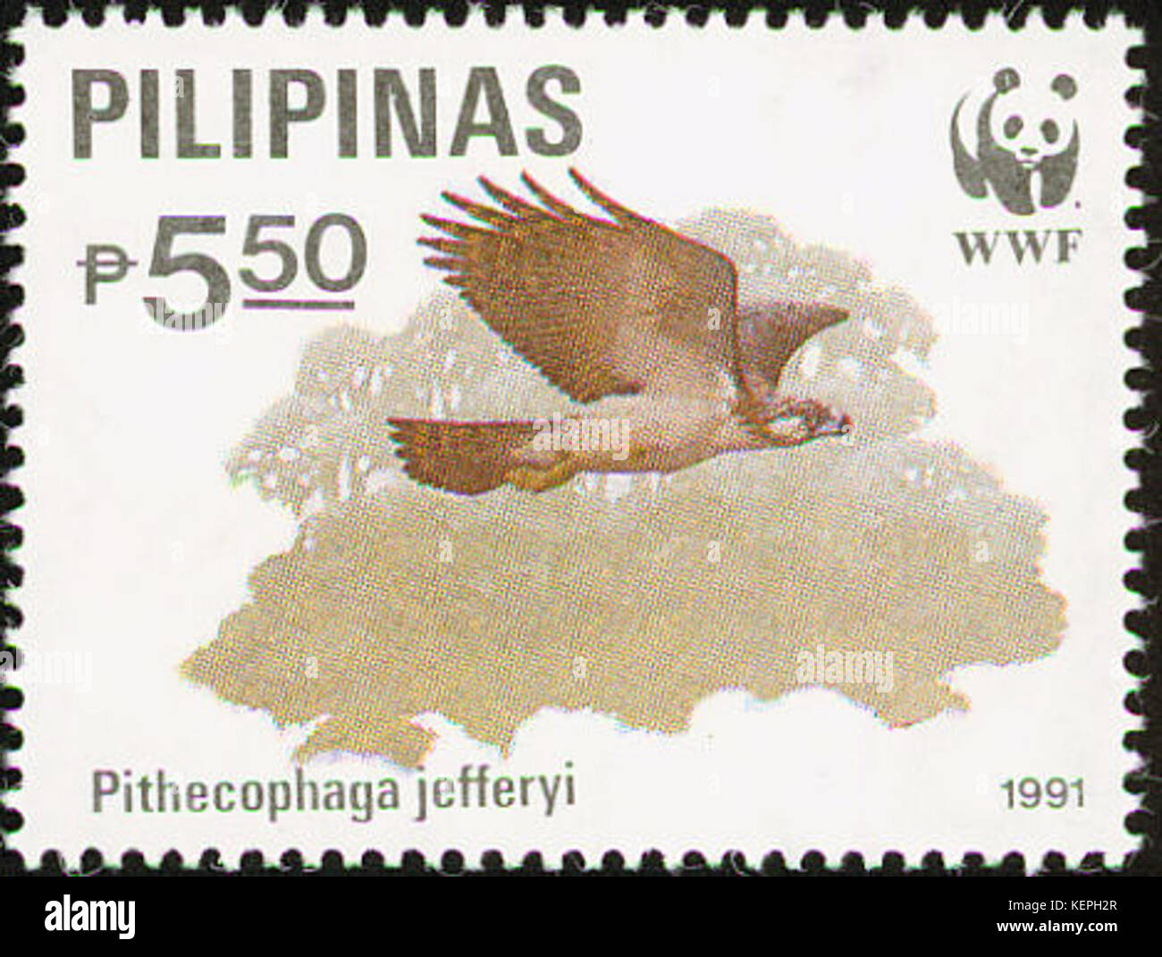 Philippine eagle pithecophaga jefferyi Banque de photographies et d ...
