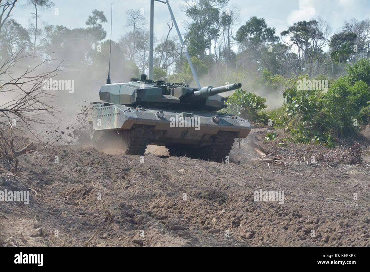 Leopard 2 Banque de photographies et d’images à haute résolution - Alamy