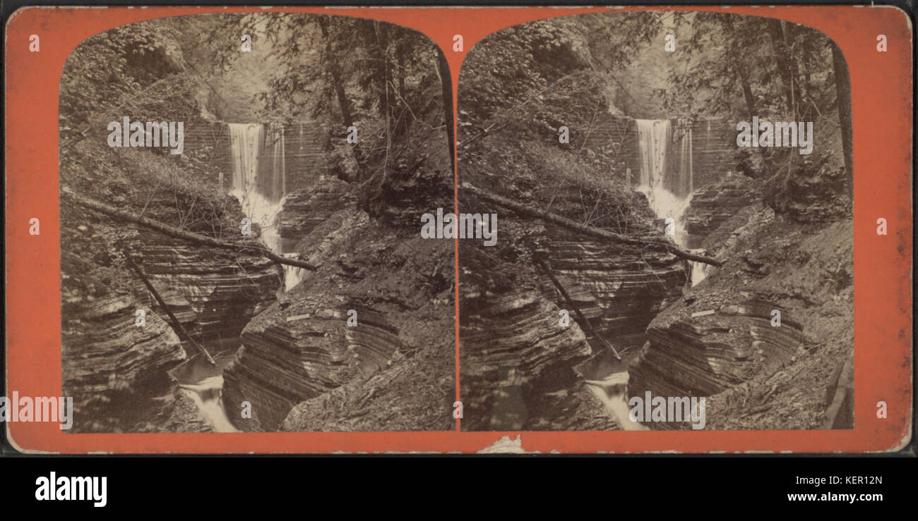 Gorge profil, du long escalier, (gorge) Alpha, par Gates, G. F. (George ...