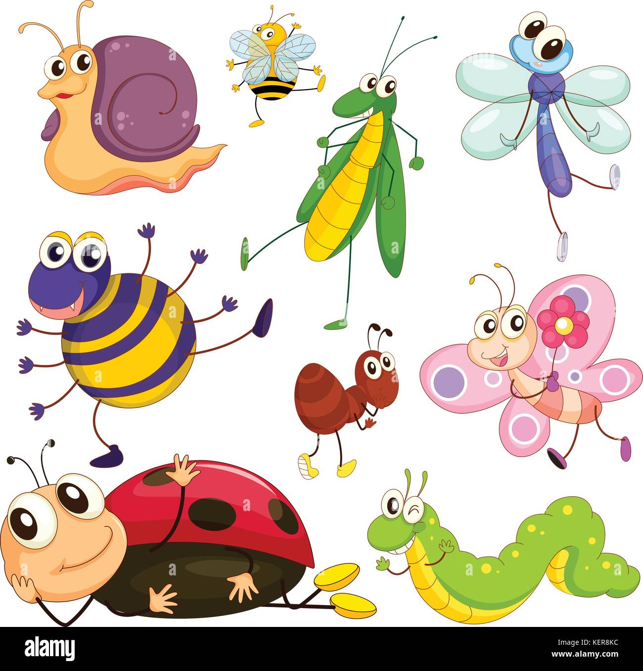 Quelles sont les différents insectes Banque d'images vectorielles - Alamy
