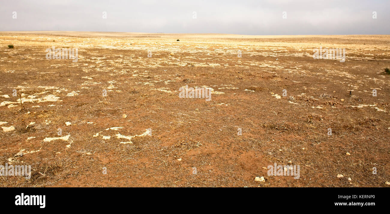 Habitat de prairies calcaires Banque de photographies et d’images à ...