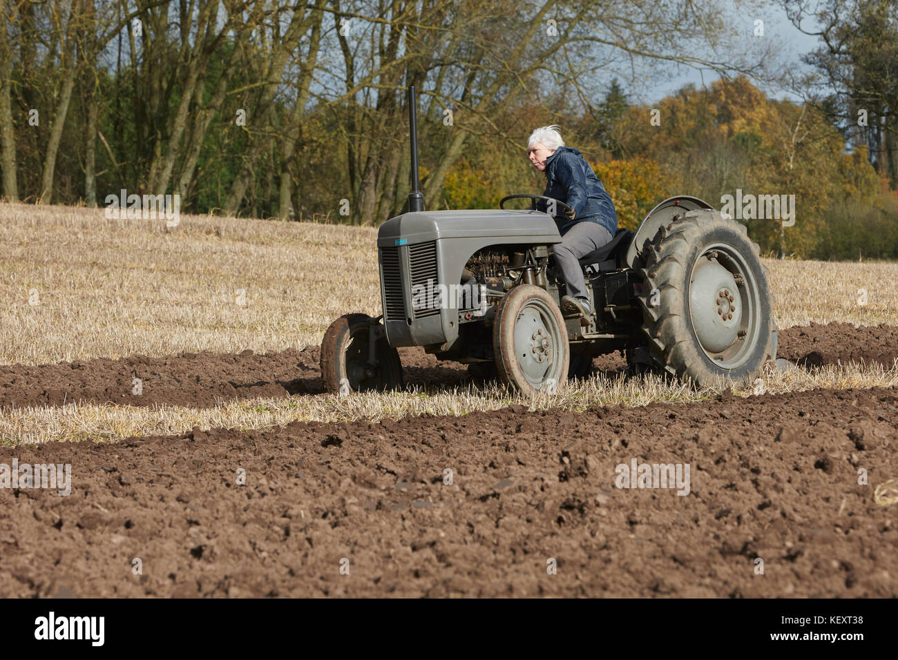 Tracteur gris massey ferguson Banque de photographies et d’images à ...