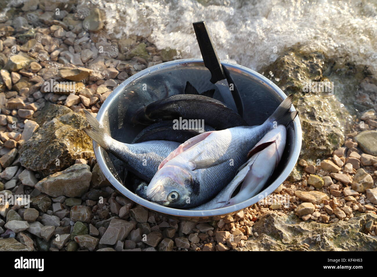 La transformation du poisson / la transformation du poisson à l ...