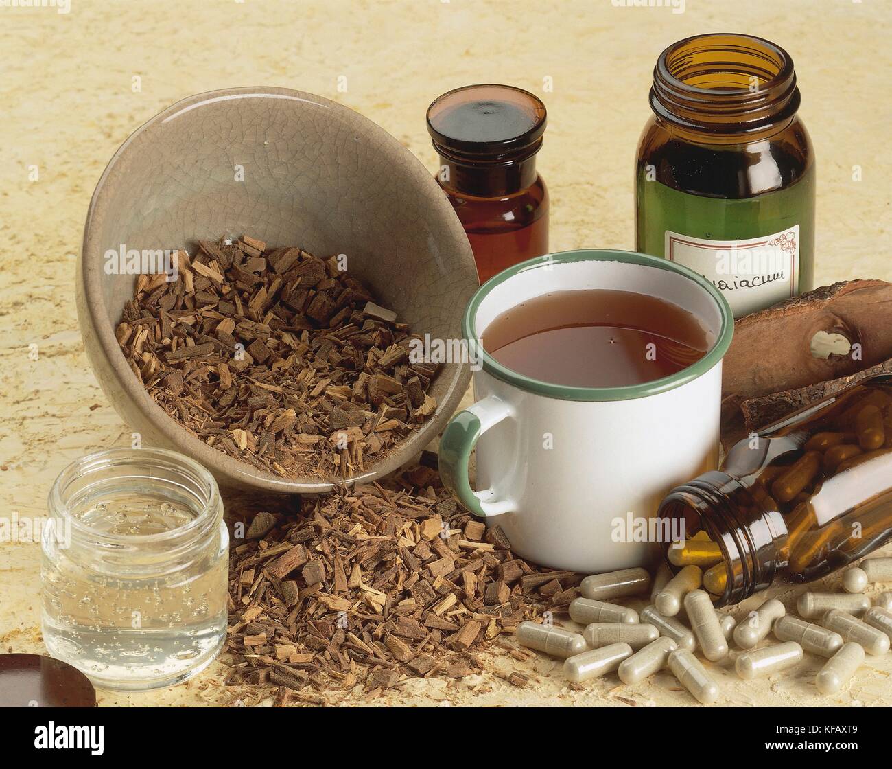 Guaiacum officinale Banque de photographies et d’images à haute ...