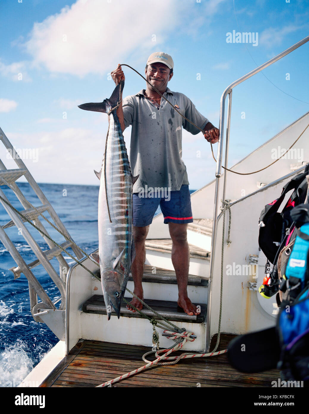 Wahoo ono Banque de photographies et d’images à haute résolution - Alamy