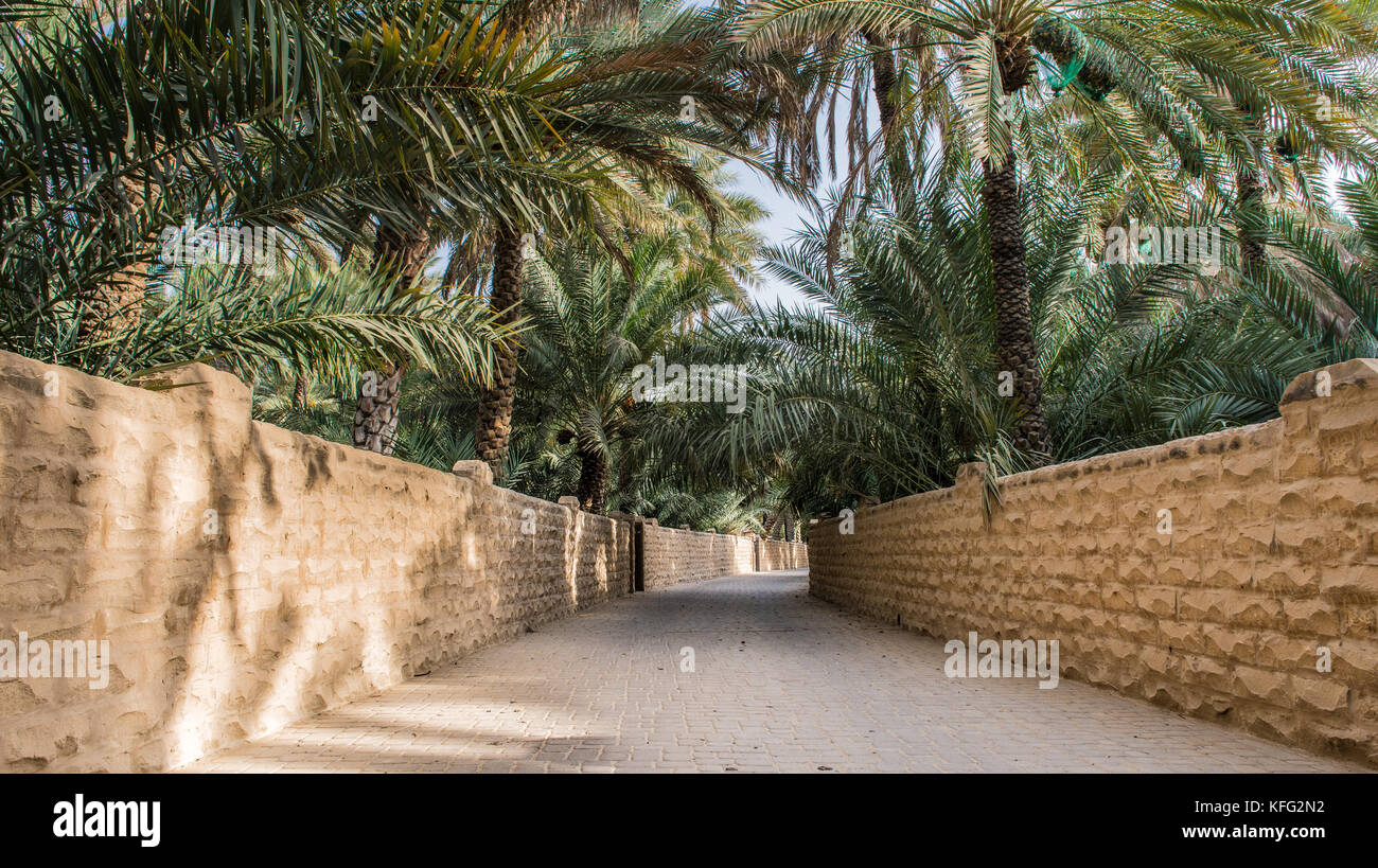 Oasis arabe Banque de photographies et d’images à haute résolution - Alamy