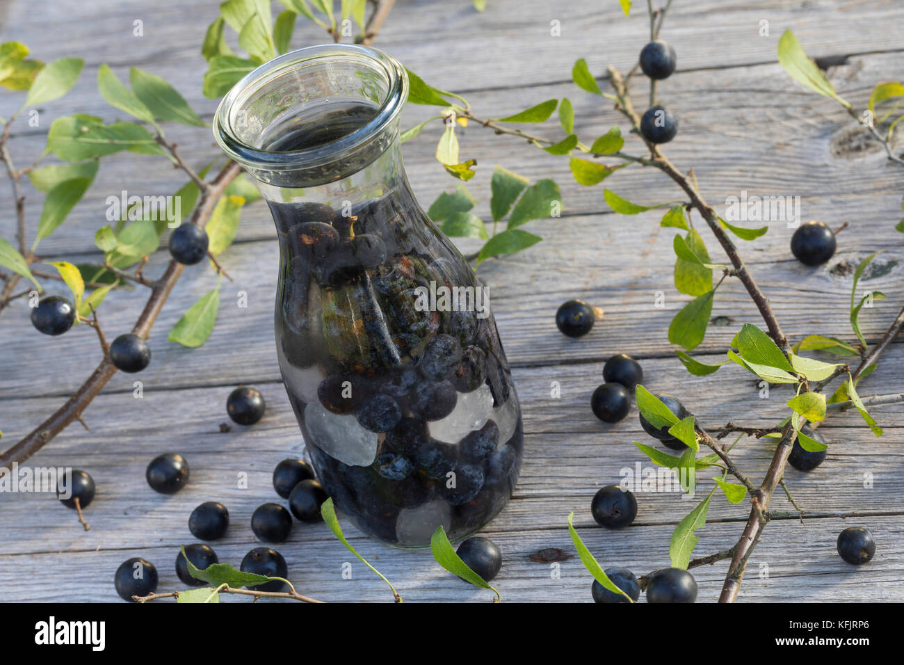 Schlehen Likor Selbst Gemacht