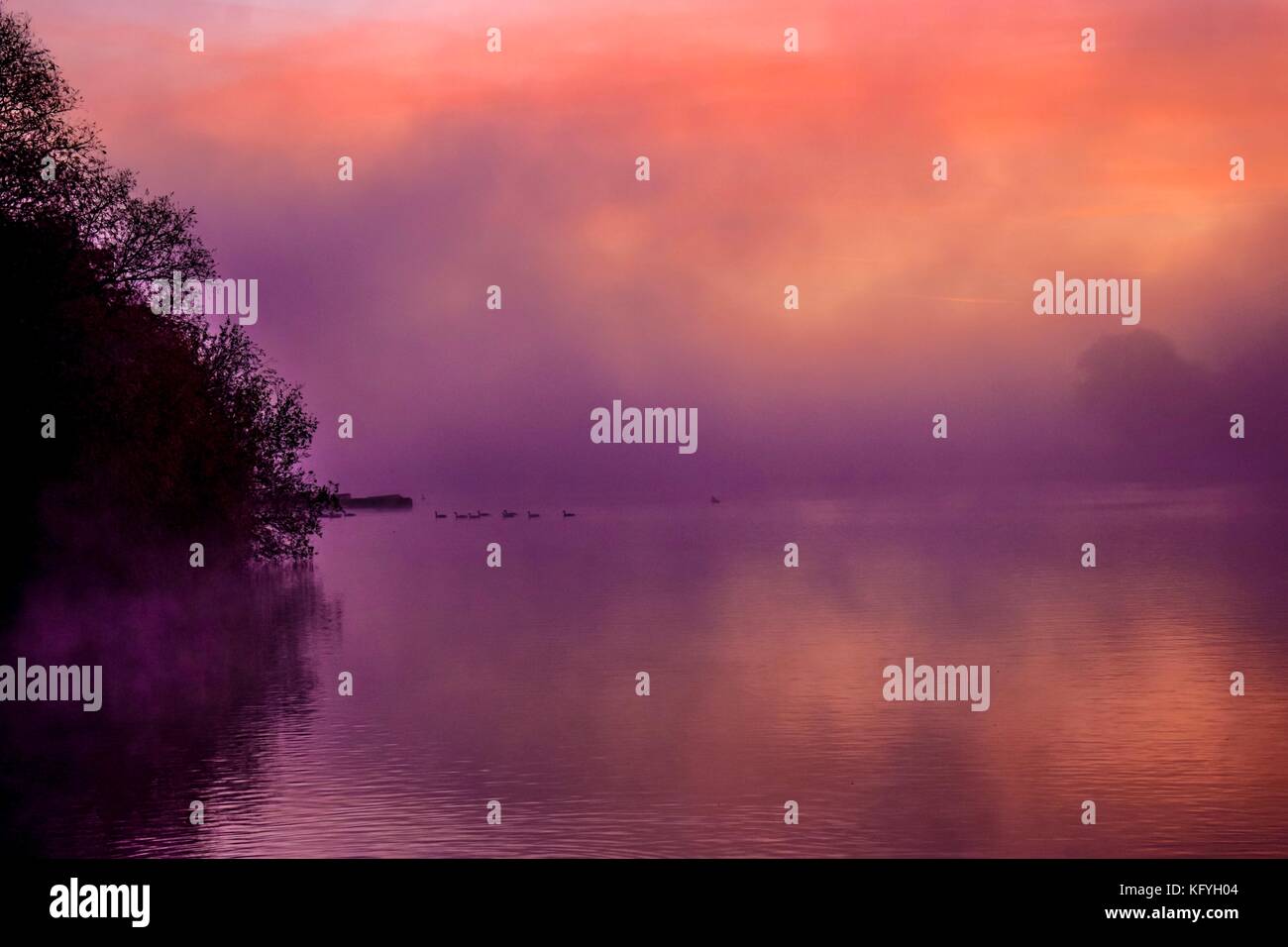 Sutton bingham Banque de photographies et d’images à haute résolution ...