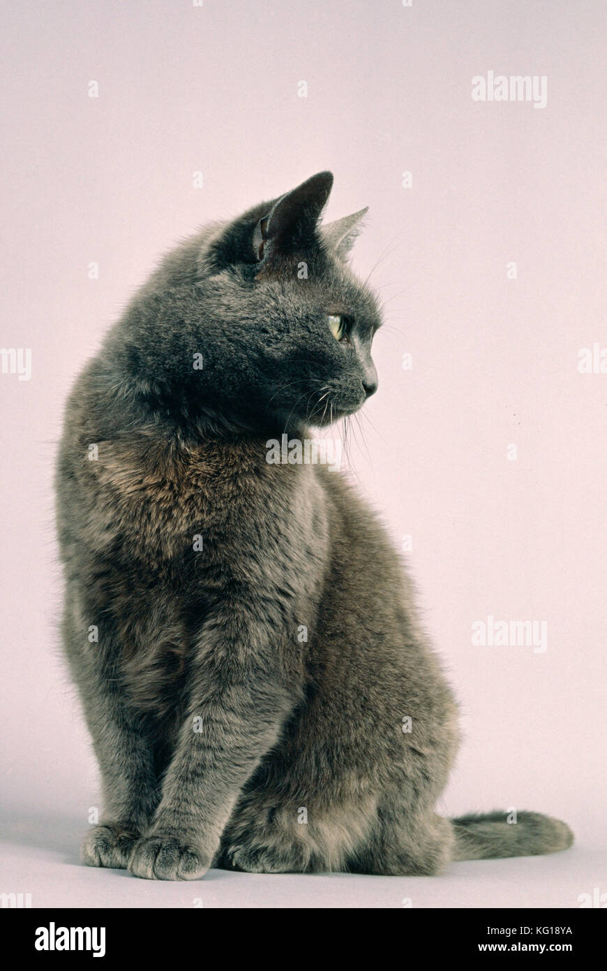 Croix bleue Banque de photographies et d’images à haute résolution - Alamy