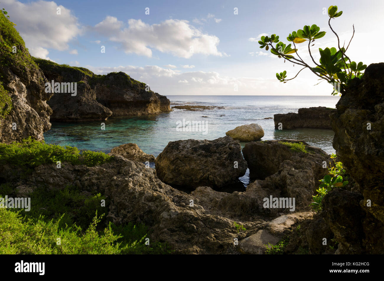 Limu pool Banque de photographies et d’images à haute résolution - Alamy
