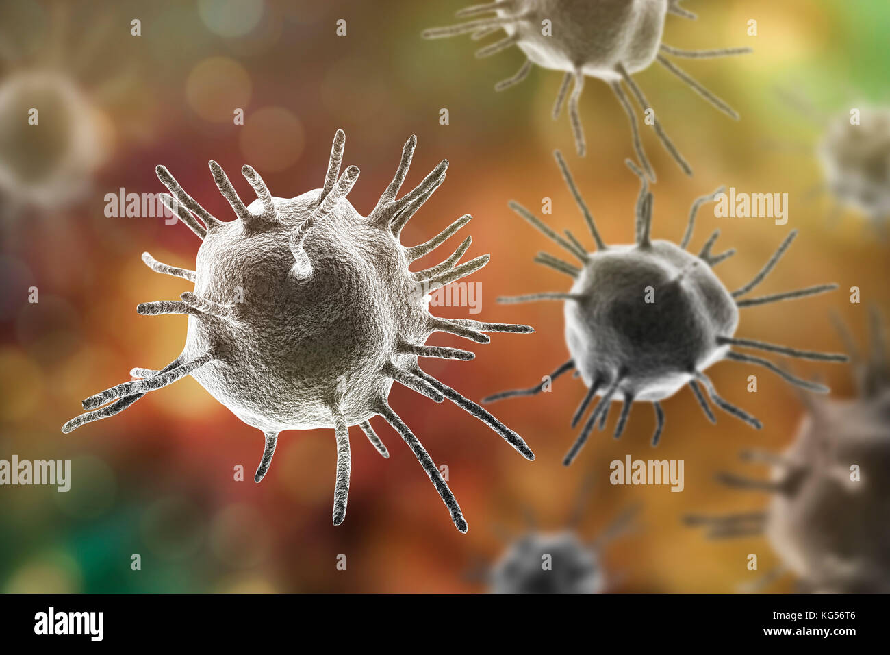 Microorganismes pathogènes Banque de photographies et d’images à haute ...