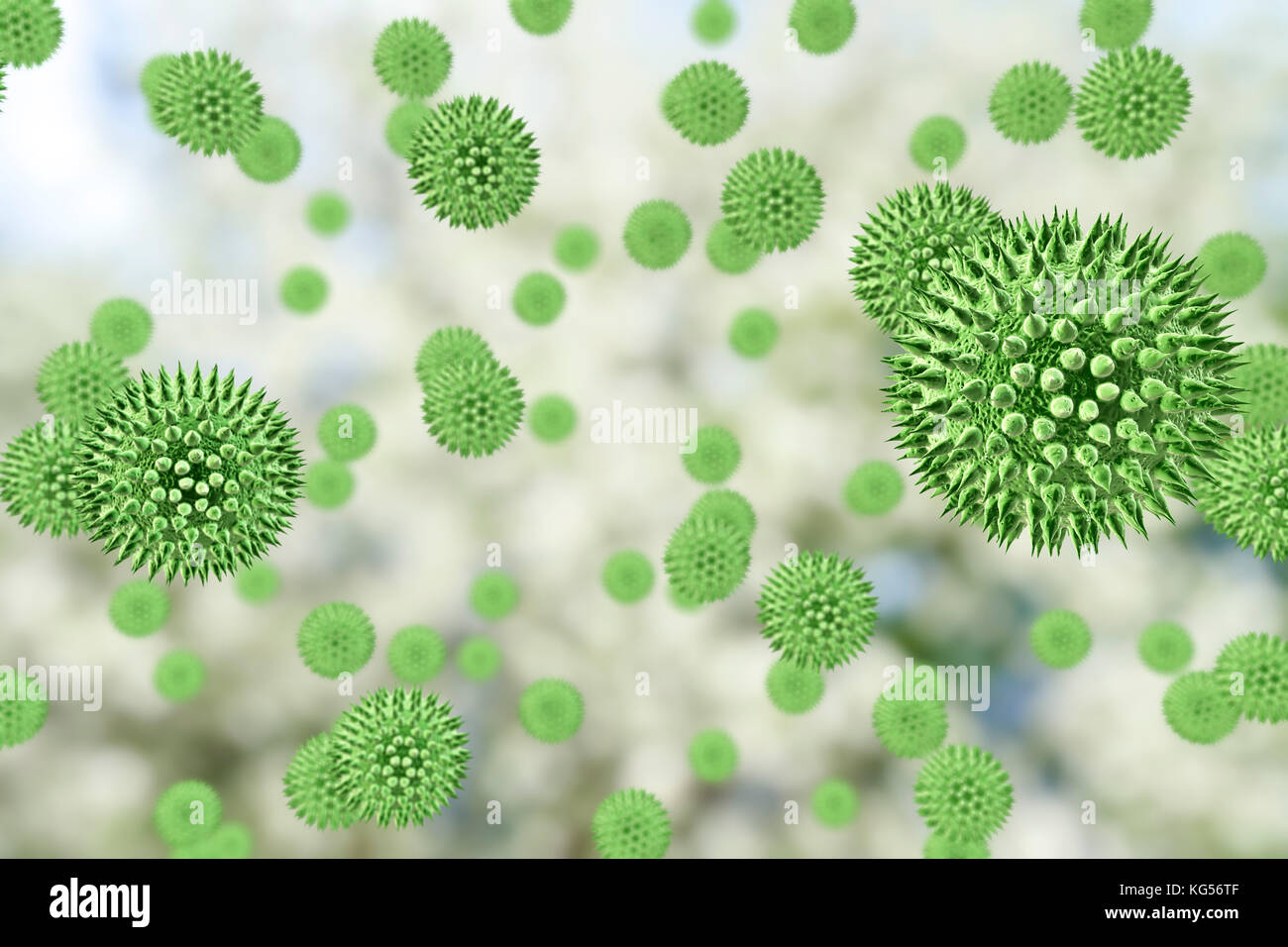 Les grains de pollen à partir de différentes plantes, illustration de l ...