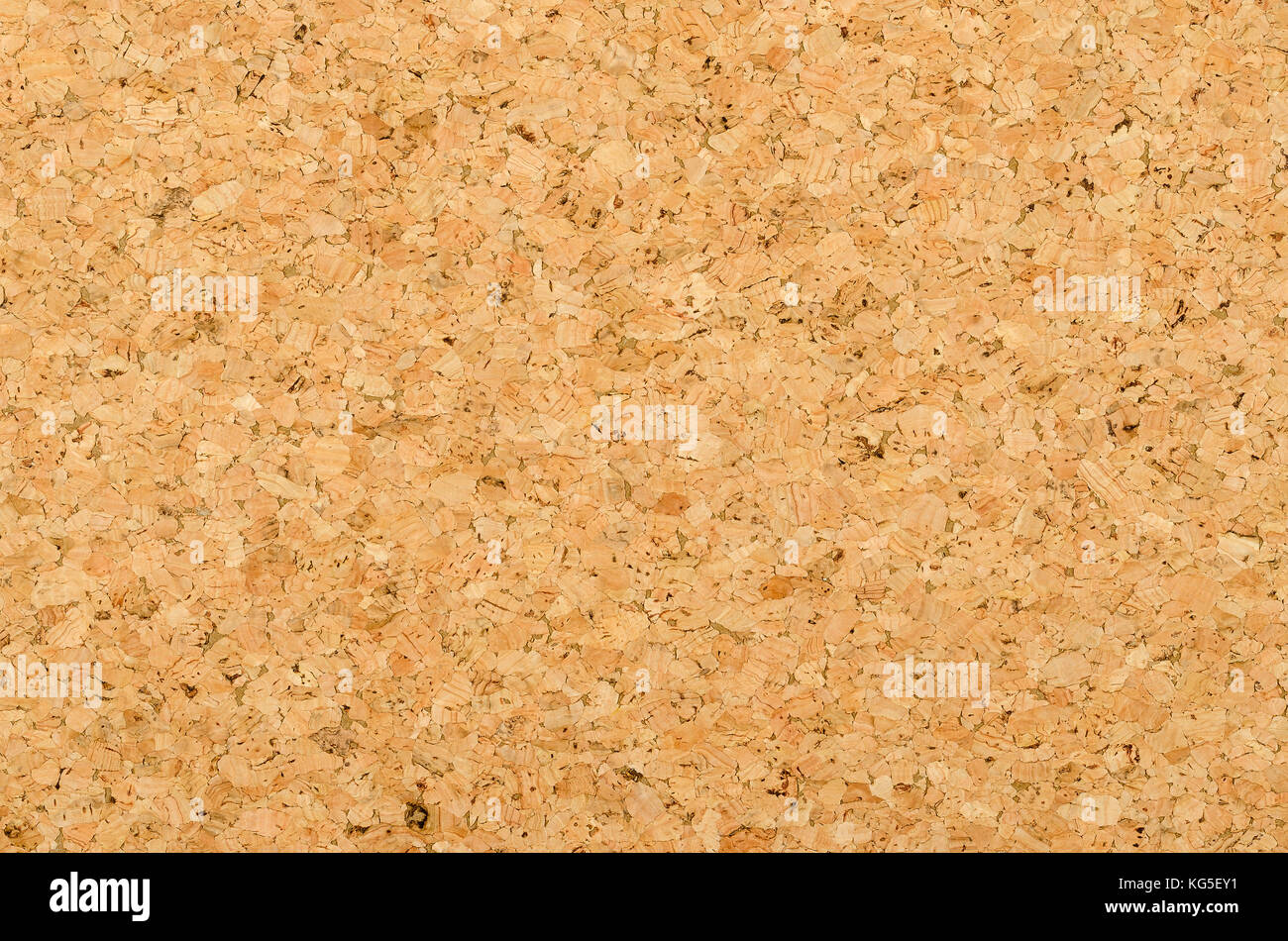 Feuille de liège avec surface texture grossière, composée de grains ...