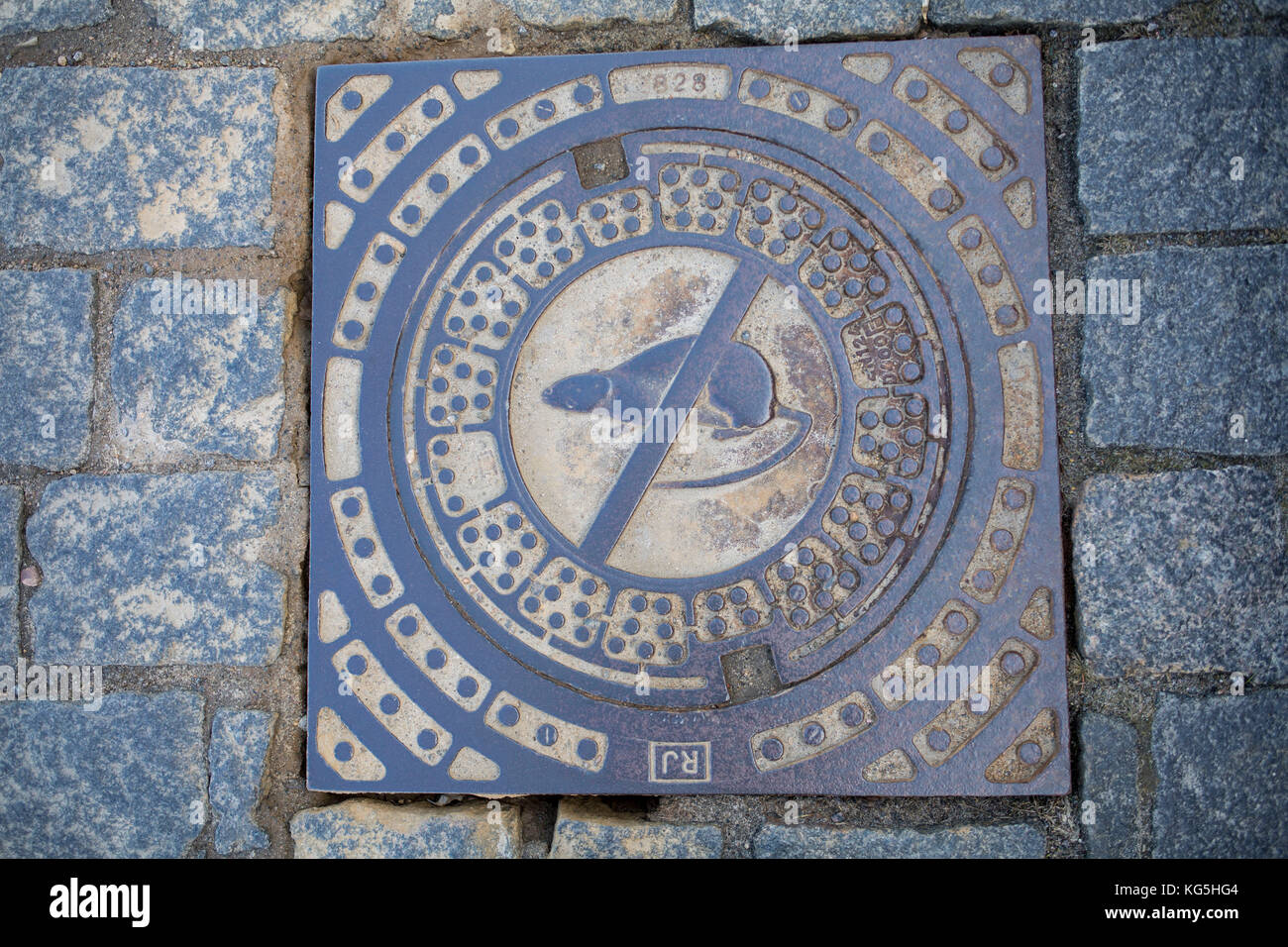 Couvercle de Gully, symbole « rats interdits » Photo Stock - Alamy