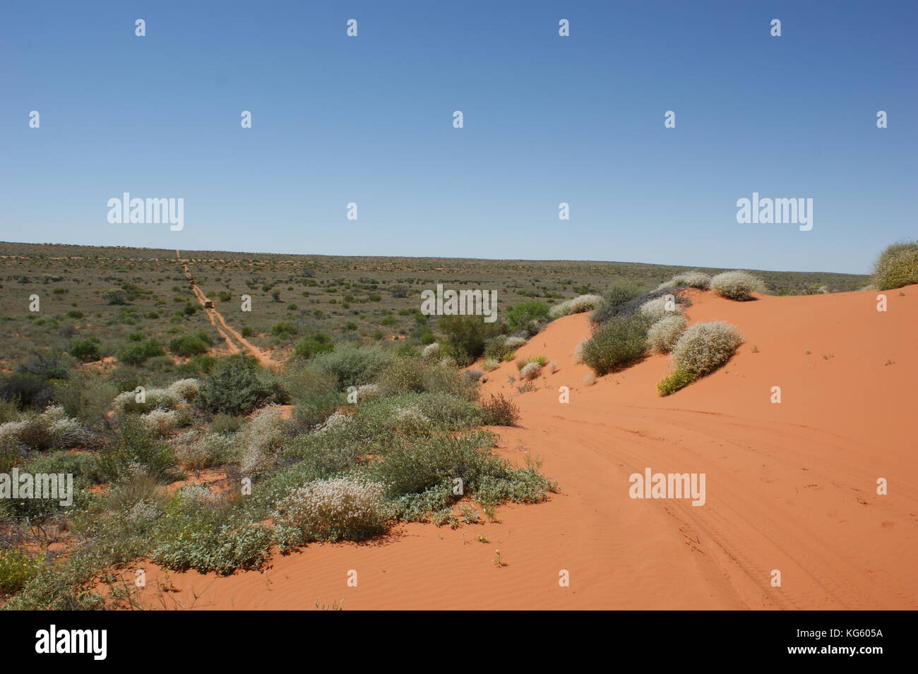 Simpson desert Banque de photographies et d’images à haute résolution ...