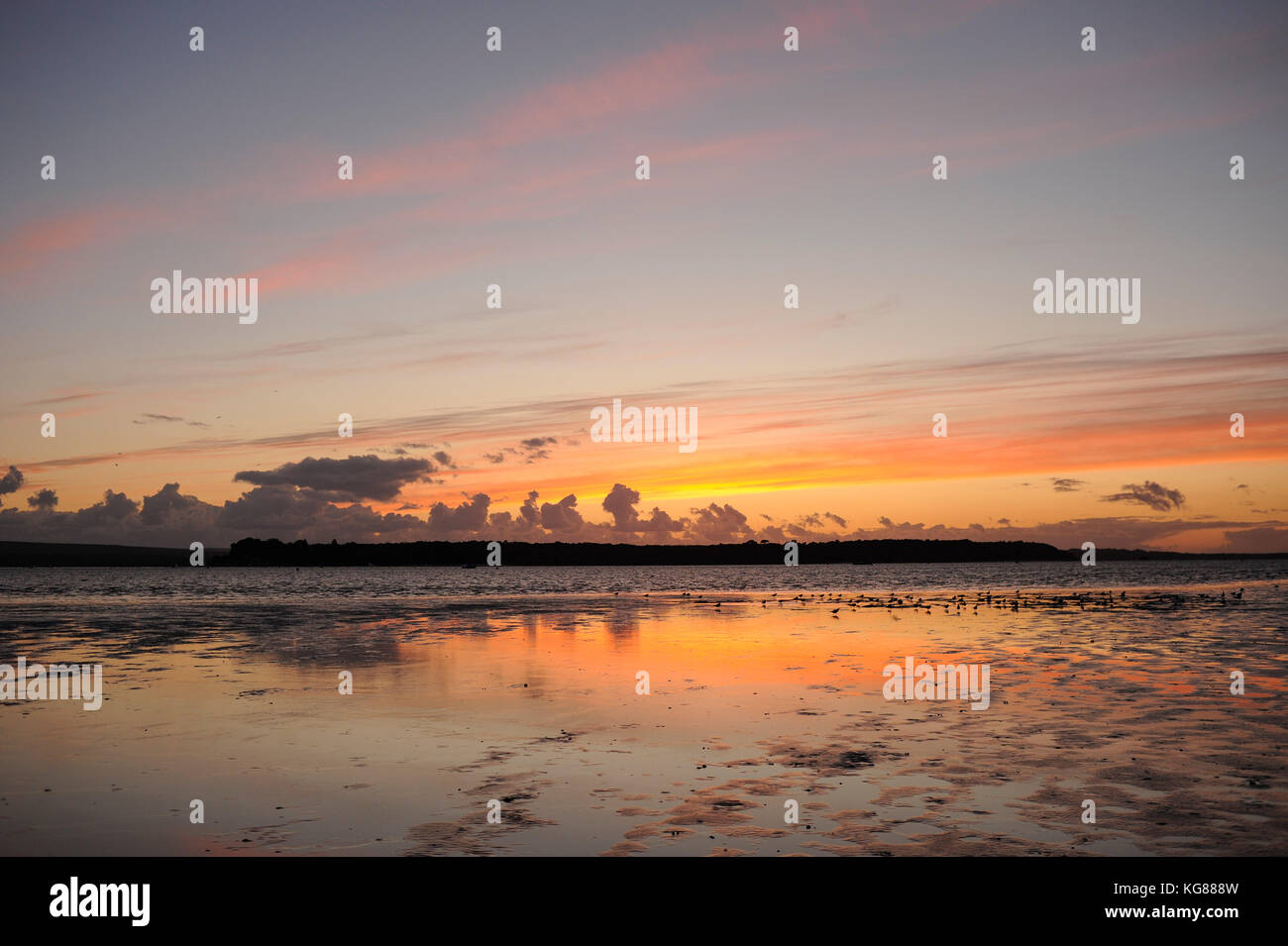 David poole Banque de photographies et d’images à haute résolution - Alamy