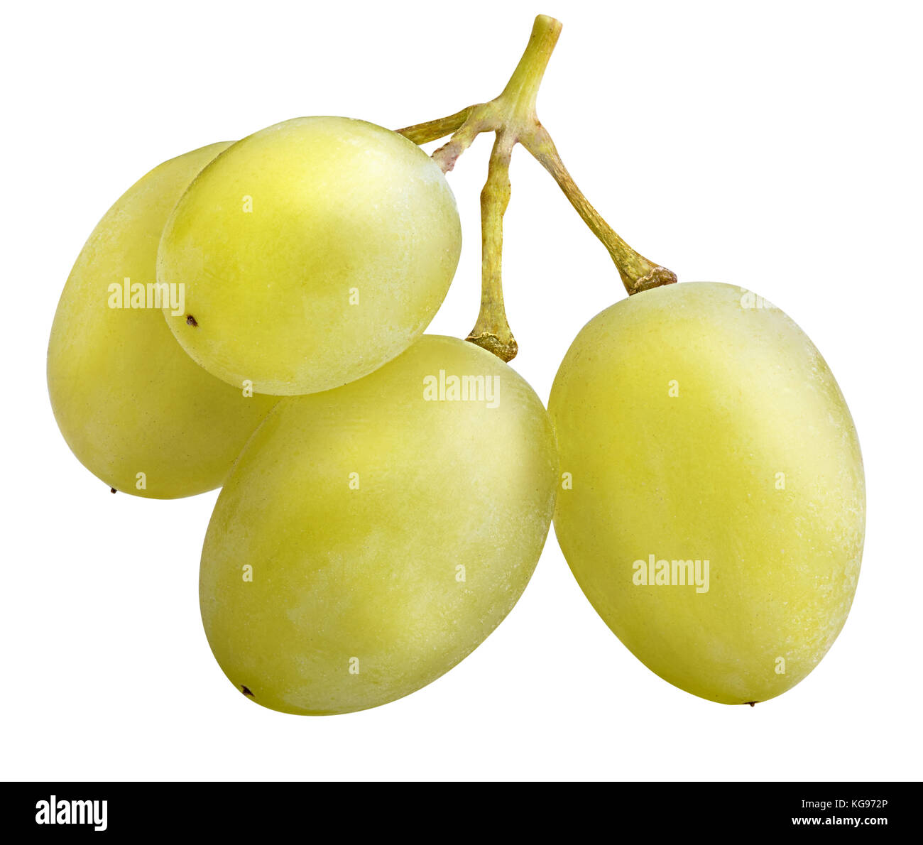 Raisin de muscat Banque de photographies et d’images à haute résolution ...