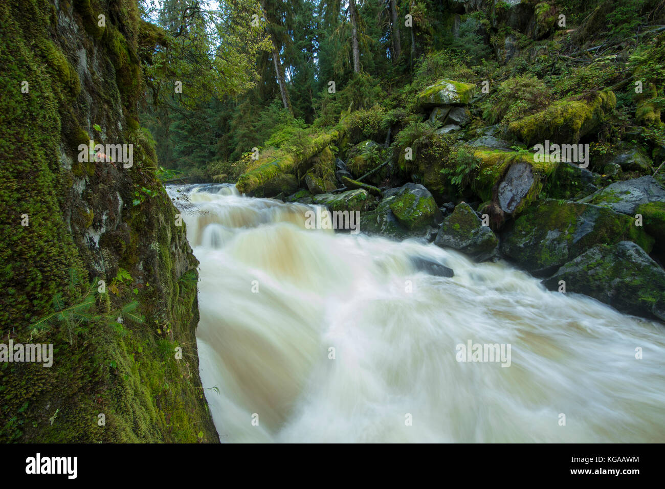 Current of the river Banque de photographies et d’images à haute ...