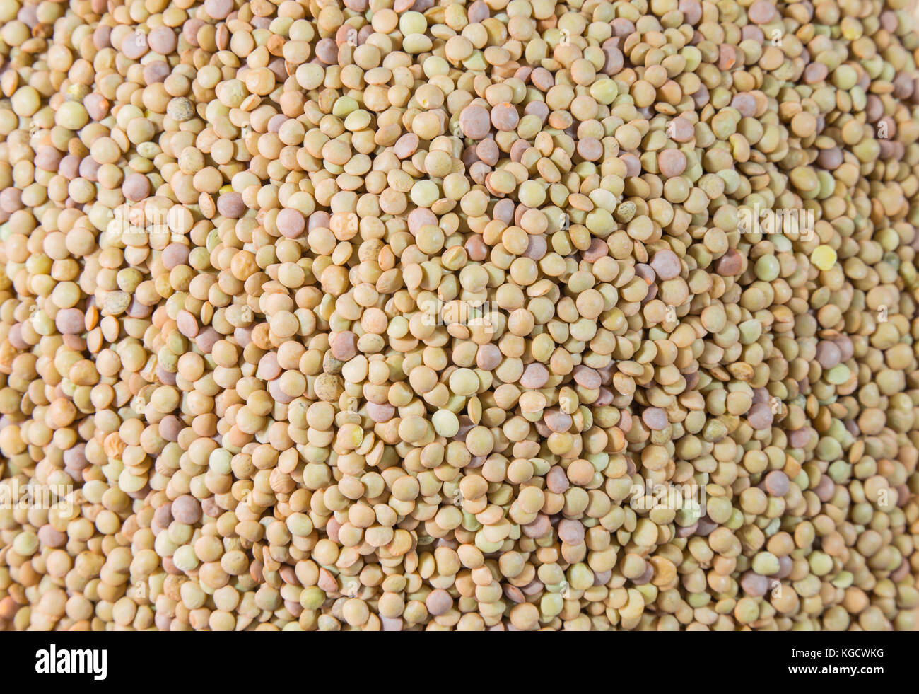 Texture de lentilles Banque de photographies et d’images à haute ...