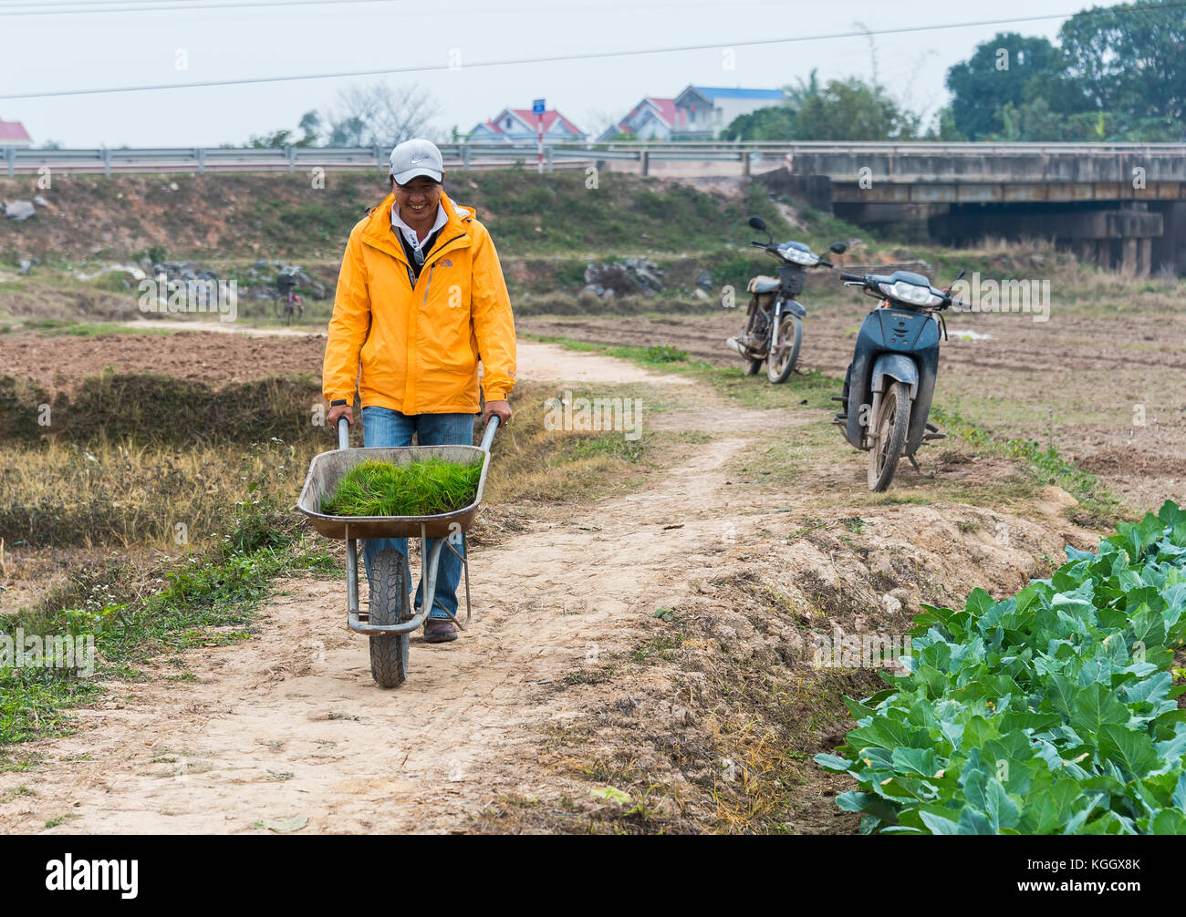 Irrigation des cultures asie Banque de photographies et d’images à ...